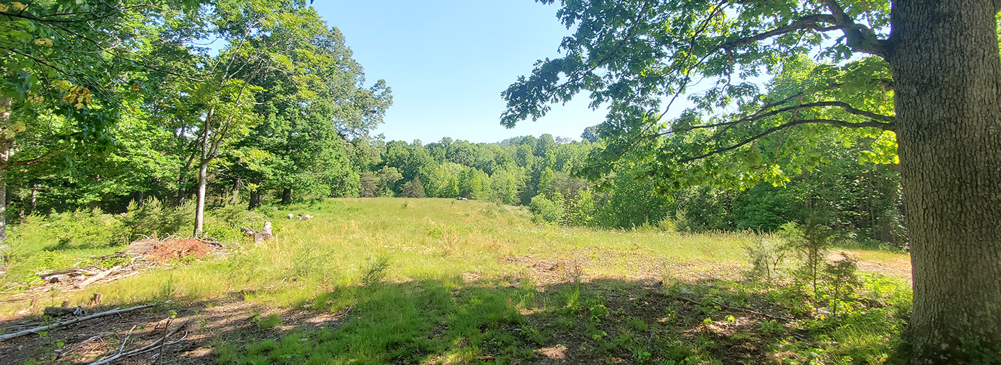 Woltz & Associates, Inc.