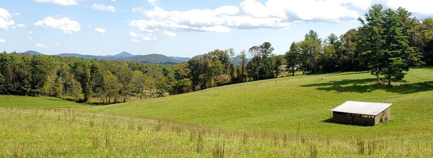 Woltz & Associates, Inc.