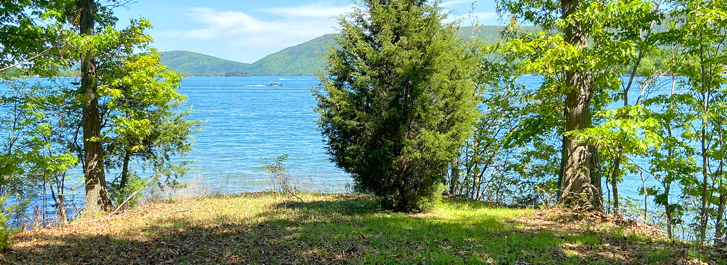 Woltz & Associates, Inc.