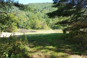 Woltz & Associates, Inc.