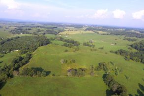 Woltz & Associates, Inc.